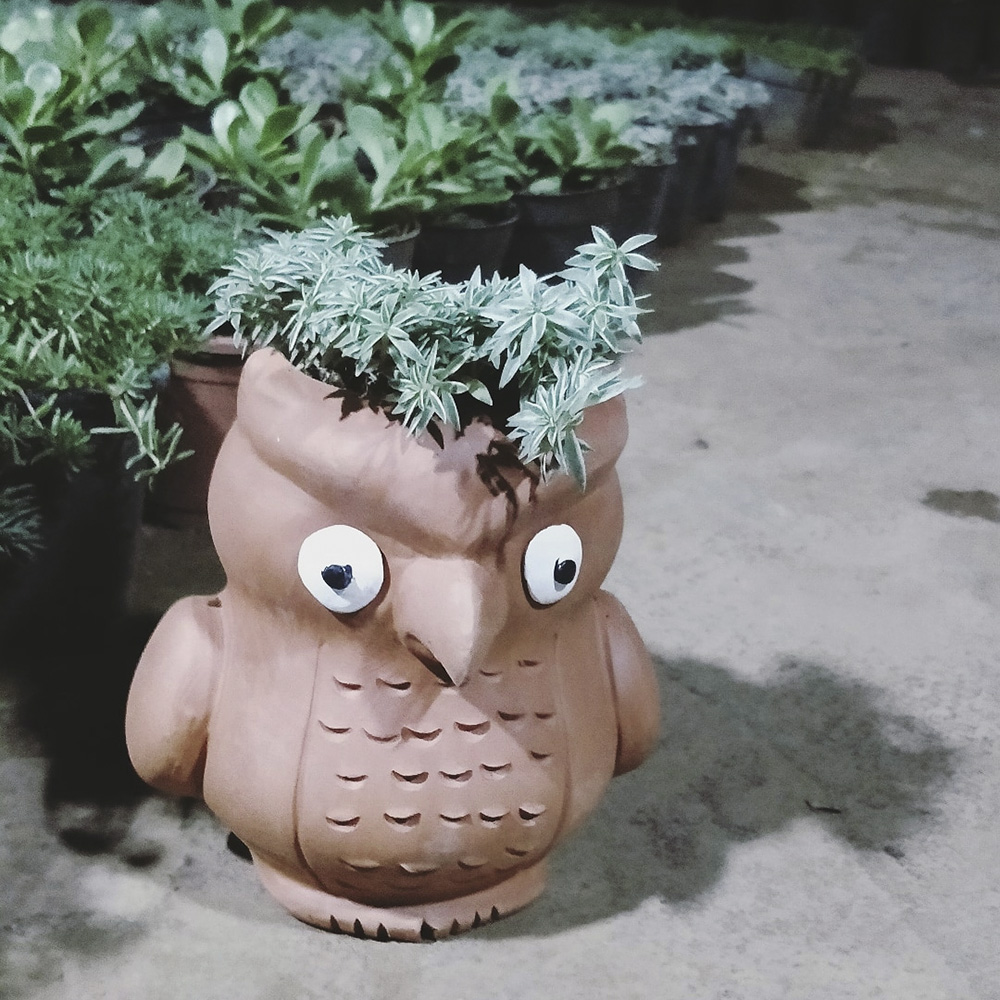 Pot A Plant For Animal Shaped Planters | LBB, Bangalore